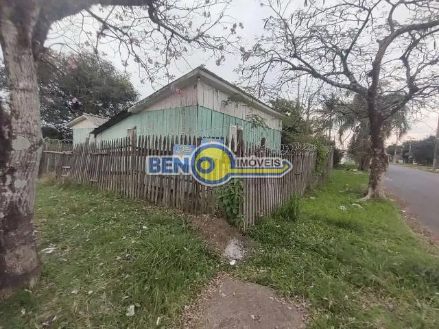 Terreno / Lote para Venda em Cachoeirinha/RS Vila Vista Alegre