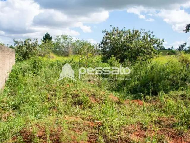 Terreno / Lote para Venda em Cachoeirinha/RS Distrito Industrial