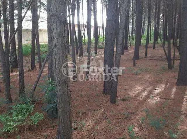 Terreno / Lote para Venda em Cachoeirinha/RS Distrito Industrial