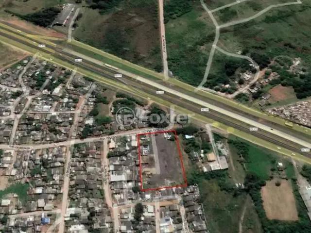 Terreno / Lote para Venda em Cachoeirinha/RS Jardim Betânia