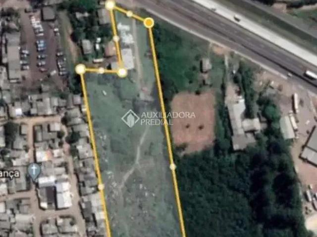 Terreno / Lote para Venda em Cachoeirinha/RS Jardim Betânia
