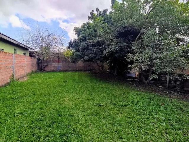 Terreno / Lote para Venda em Cachoeirinha/RS Nova Cachoeirinha