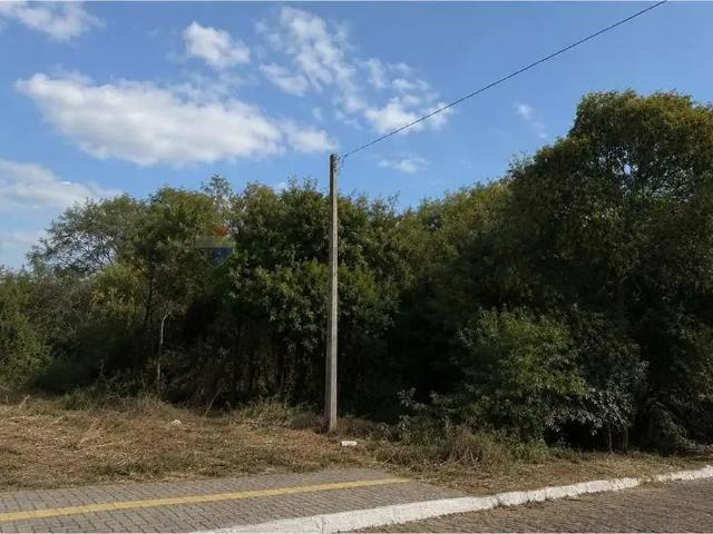 Terreno / Lote para Venda em Cachoeirinha/RS Nova Cachoeirinha