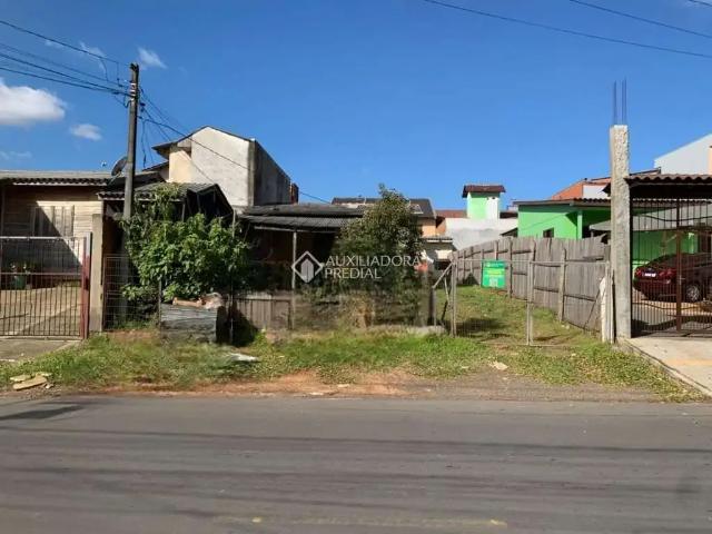 Terreno / Lote para Venda em Cachoeirinha/RS Parque Granja Esperança