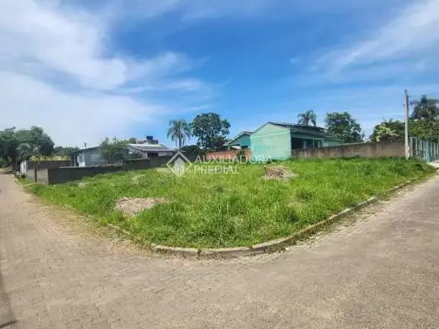 Terreno / Lote para Venda em Cachoeirinha/RS Sítio Túnel Verde