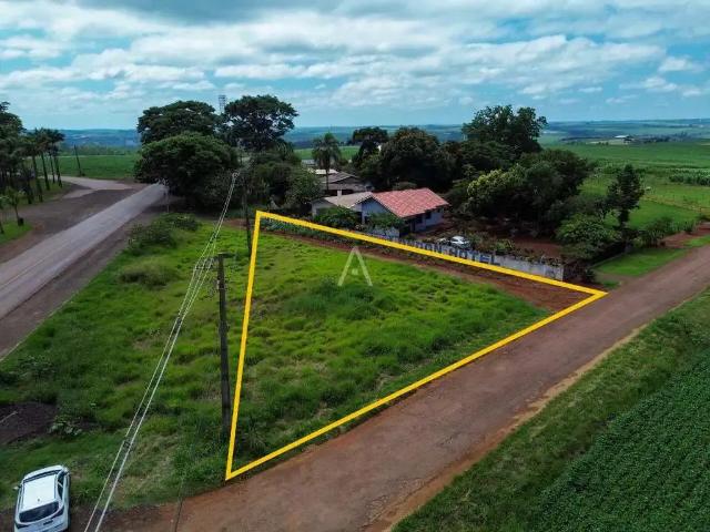 Terreno / Lote para Venda em Cafelândia/PR Centro