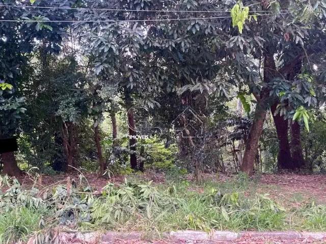 Terreno / Lote para Venda em Caieiras/SP Cresciúma
