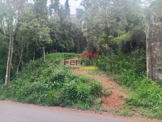 Terreno / Lote para Venda em Caieiras/SP Santa Inês
