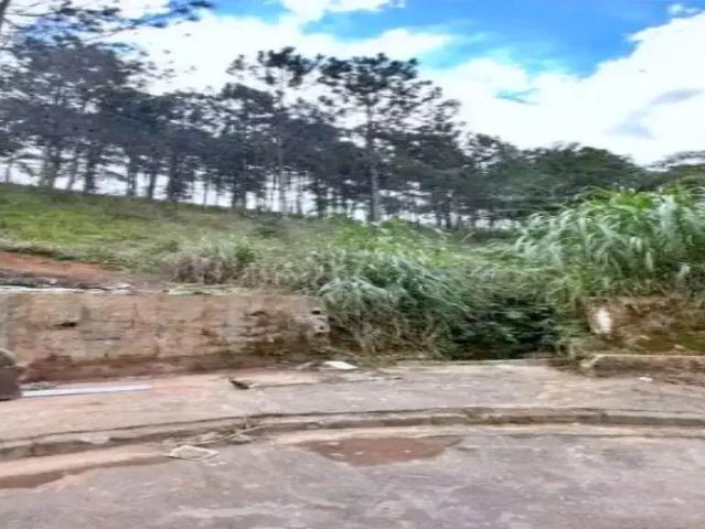 Terreno / Lote para Venda em Caieiras/SP Vila Rosina