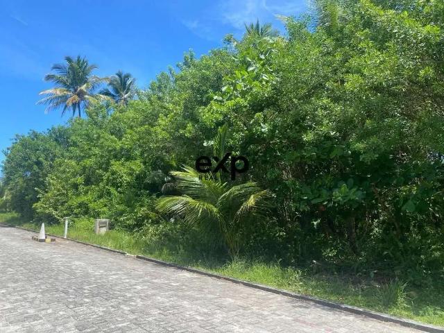 Terreno / Lote para Venda em Cairu/BA Morro de São Paulo
