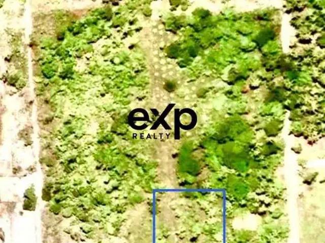 Terreno / Lote para Venda em Cairu/BA Garapua