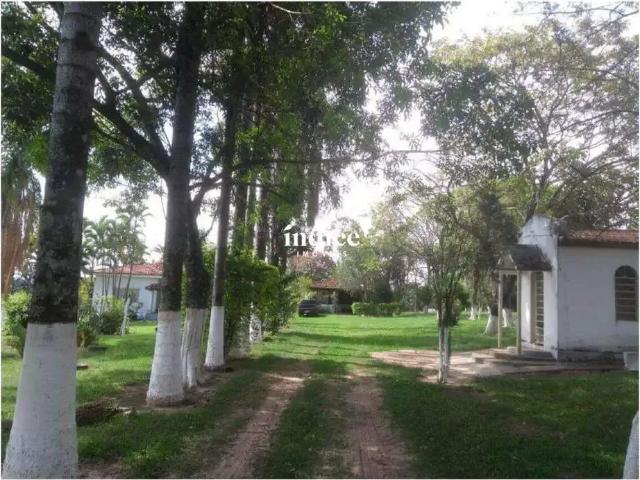 Terreno / Lote para Venda em Cajuru/SP Vila Vieira