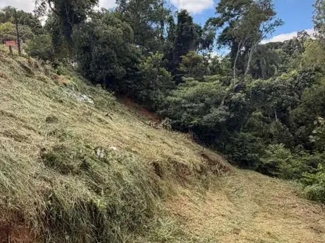 Terreno / Lote para Venda em Cajamar/SP Aldeia do Sol Polvilho