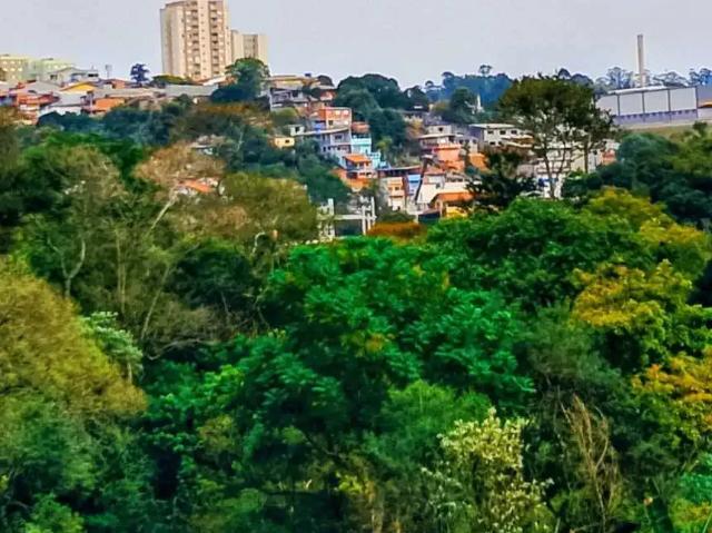 Terreno / Lote para Venda em Cajamar/SP Polvilho