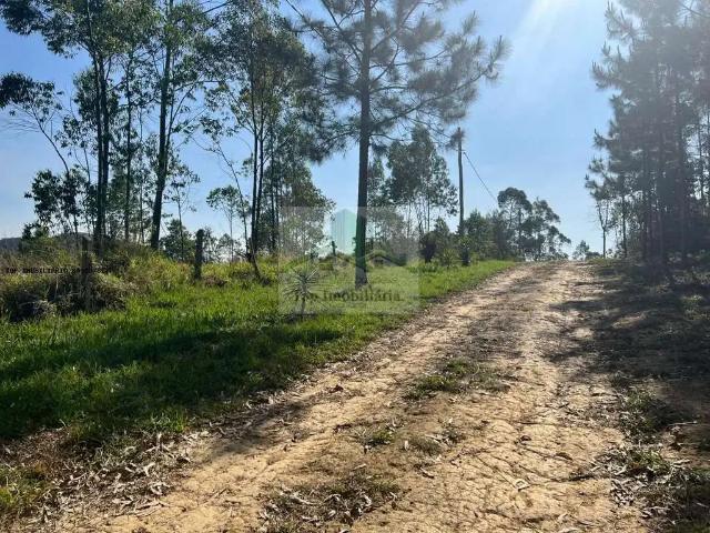 Terreno / Lote para Venda em Cajamar/SP Ponunduva