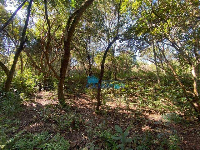 Terreno / Lote para Venda em Cajamar/SP Ponunduva