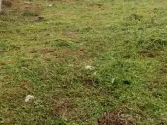 Terreno / Lote para Venda em Cajamar/SP Paraíso Polvilho