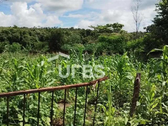 Terreno / Lote para Venda em Caldas Novas/GO Caminho do Lago