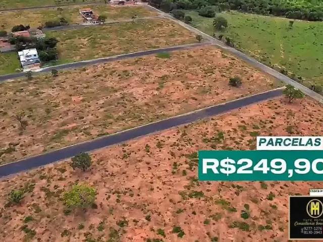 Terreno / Lote para Venda em Caldas Novas/GO Don Felipe