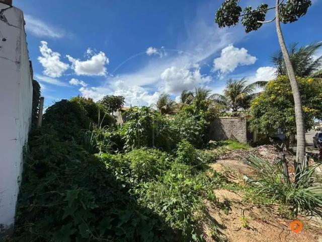 Terreno / Lote para Venda em Caldas Novas/GO Estância Itanhangá