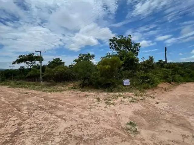 Terreno / Lote para Venda em Caldas Novas/GO Estância Jequitimar