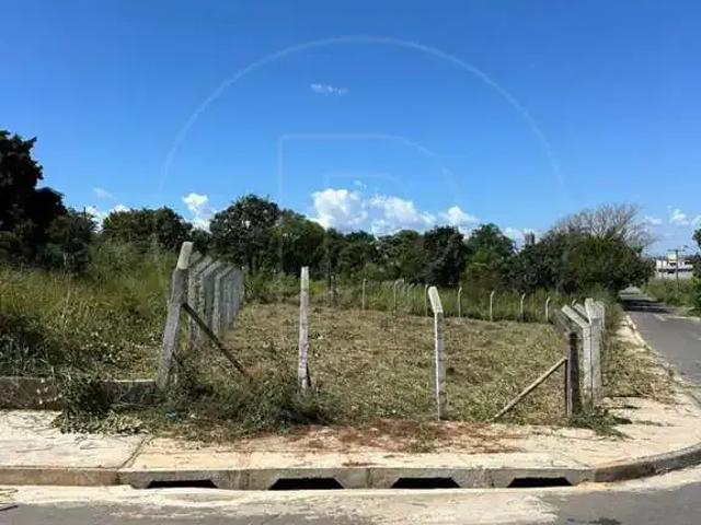 Terreno / Lote para Venda em Caldas Novas/GO Jardim Belvedere