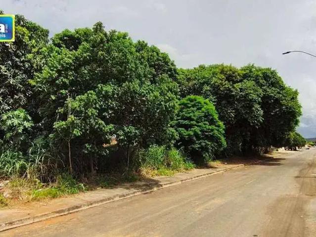 Terreno / Lote para Venda em Caldas Novas/GO Jardim Serrano