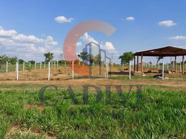Terreno / Lote para Venda em Caldas Novas/GO Lagoa Quente
