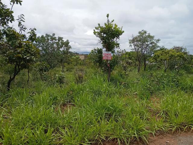 Terreno / Lote para Venda em Caldas Novas/GO Lagoa Quente