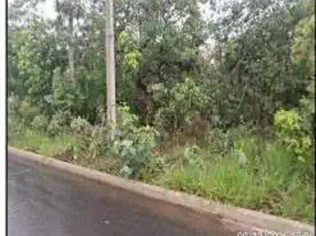 Terreno / Lote para Venda em Caldas Novas/GO Lagoa Quente