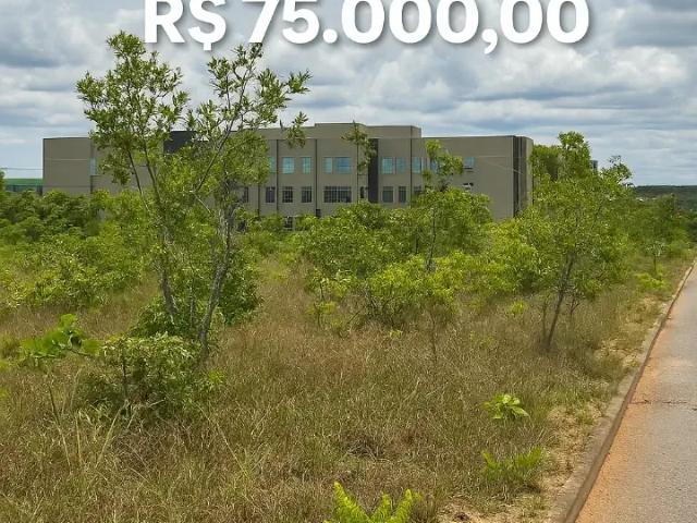 Terreno / Lote para Venda em Caldas Novas/GO Lagoa Quente