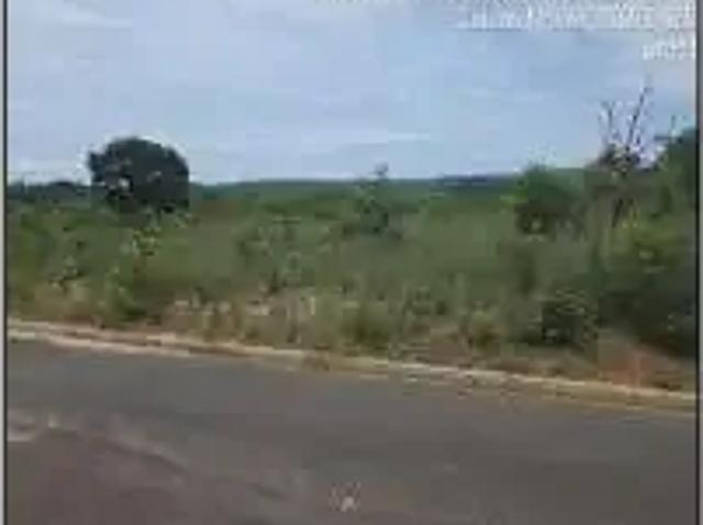 Terreno / Lote para Venda em Caldas Novas/GO Lagoa Quente