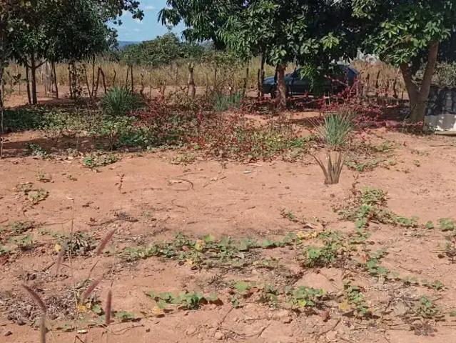 Terreno / Lote para Venda em Caldas Novas/GO Lagoa Quente