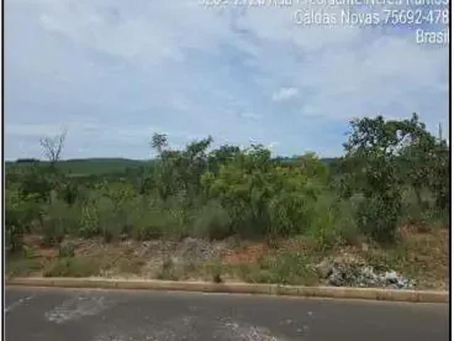 Terreno / Lote para Venda em Caldas Novas/GO Lagoa Quente