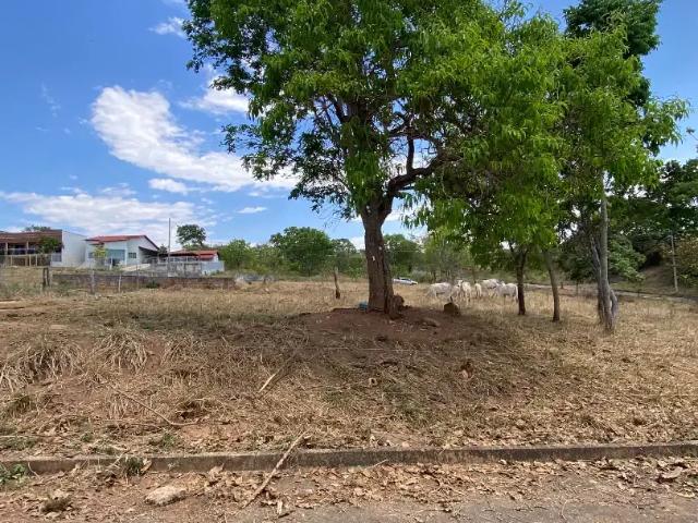 Terreno / Lote para Venda em Caldas Novas/GO Recanto das Garças