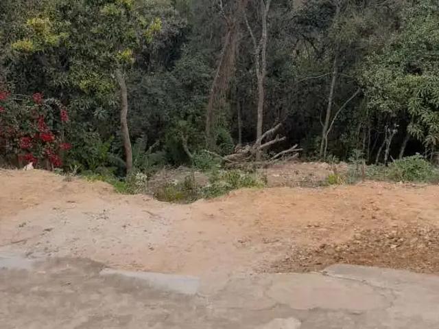 Terreno / Lote para Venda em Caldas/MG Laranjeiras de Caldas