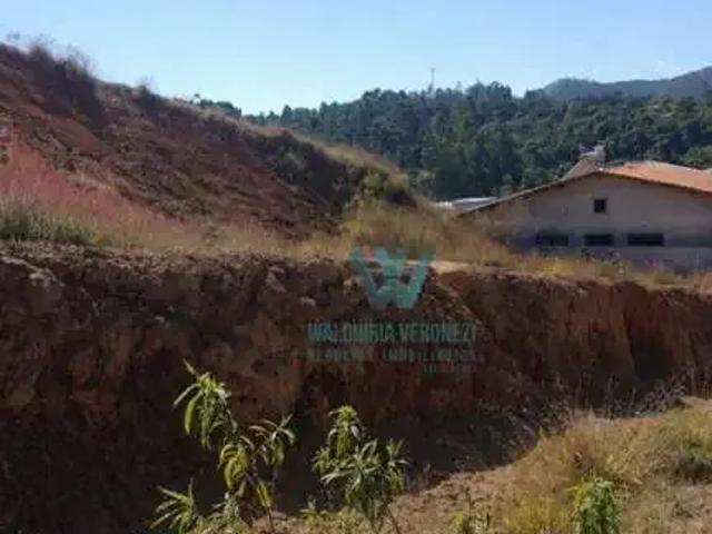 Terreno / Lote para Venda em Caldas/MG Laranjeiras de Caldas