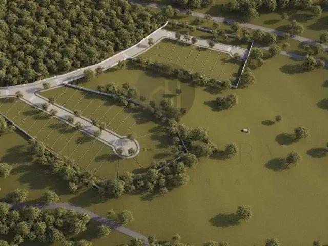 Terreno / Lote para Venda em Caldas/MG Laranjeiras de Caldas