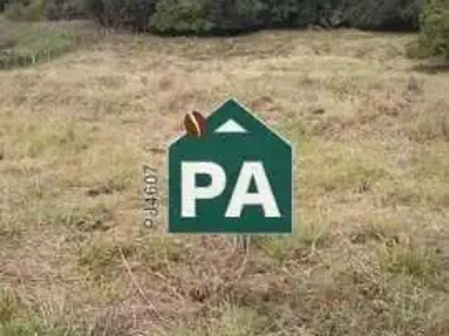Terreno / Lote para Venda em Caldas/MG Rio Verde