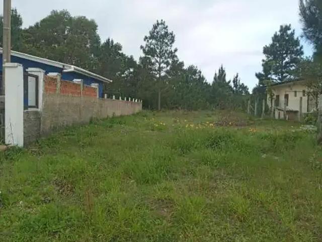 Terreno / Lote para Venda em Capão da Canoa/RS Curumim