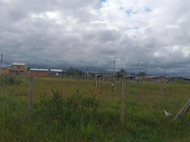Terreno / Lote para Venda em Capão da Canoa/RS Capão Novo