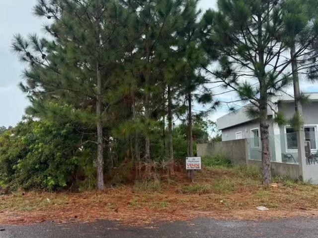 Terreno / Lote para Venda em Capão da Canoa/RS Capão Novo