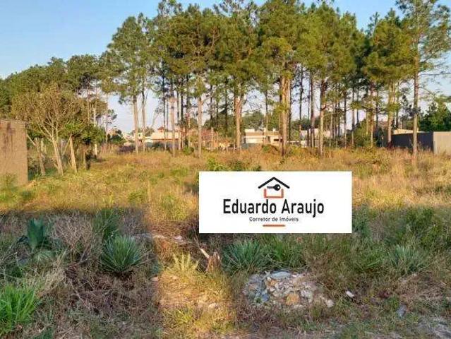 Terreno / Lote para Venda em Capão da Canoa/RS Capão Novo