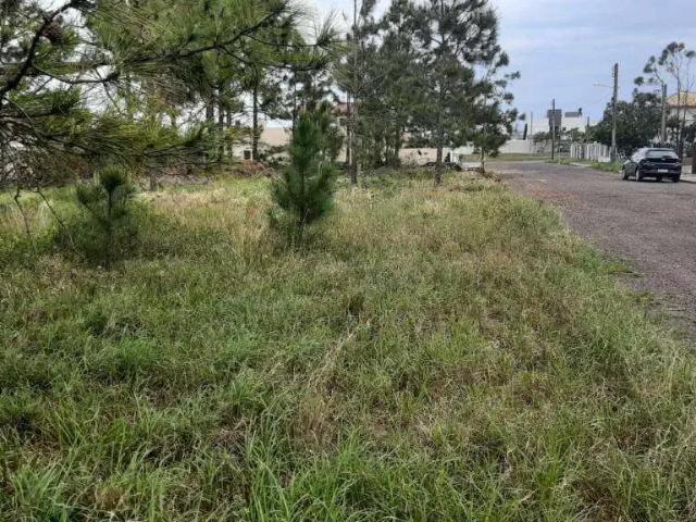 Terreno / Lote para Venda em Capão da Canoa/RS Capão Novo