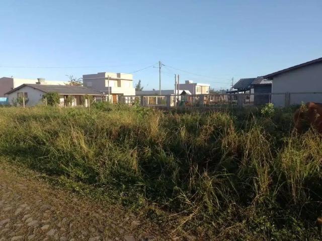 Terreno / Lote para Venda em Capão da Canoa/RS Capão Novo