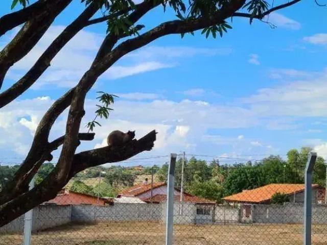 Terreno / Lote para Venda em Capela do Alto/SP Porto
