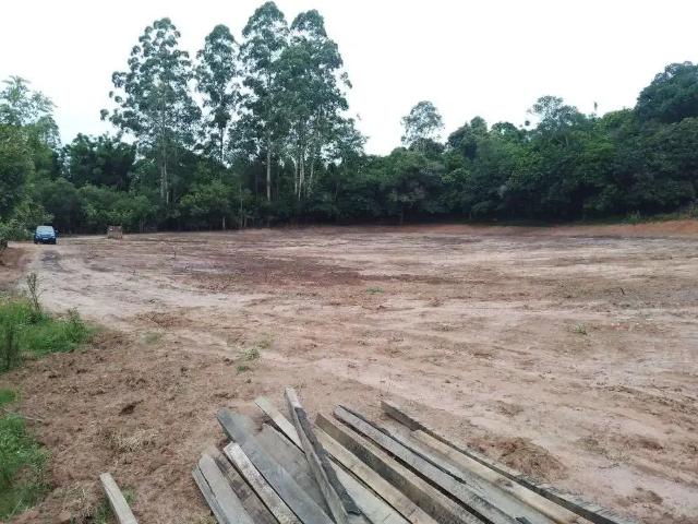 Terreno / Lote para Venda em Capela de Santana/RS Bosque de Capela
