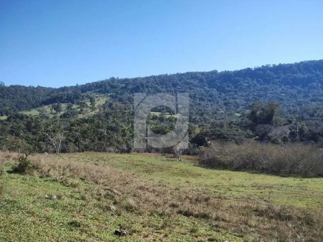 Terreno / Lote para Venda em Capela de Santana/RS Boqueirão