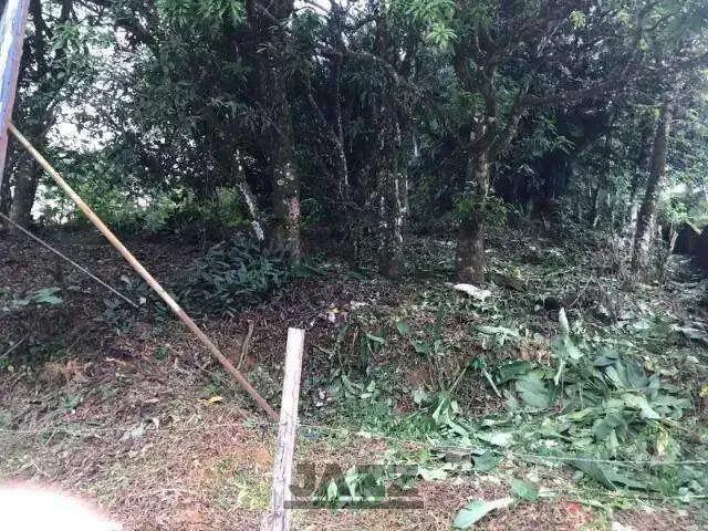 Terreno / Lote para Venda em Caraguatatuba/SP Capricórnio II