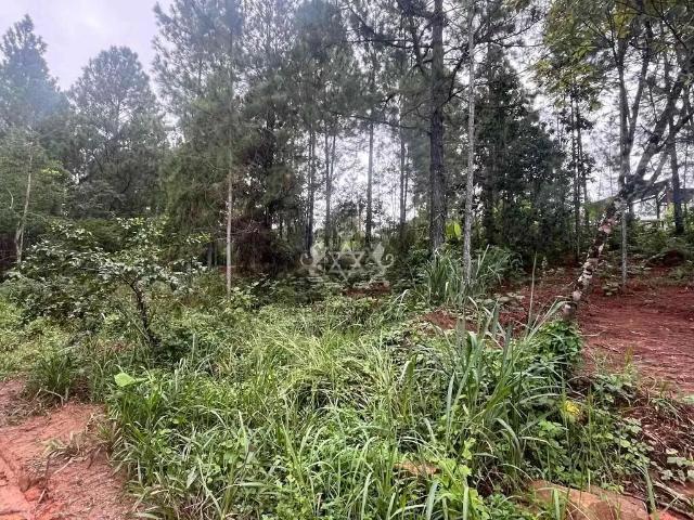 Terreno / Lote para Venda em Caraguatatuba/SP Capricórnio II
